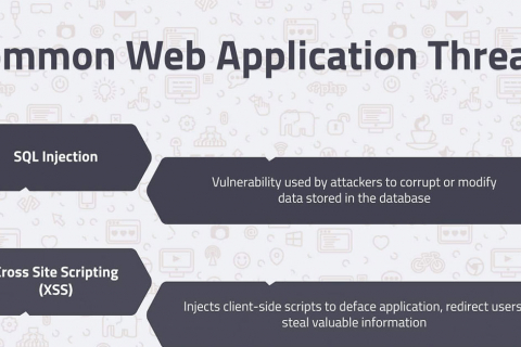 Networking Protocols | TechnoLush