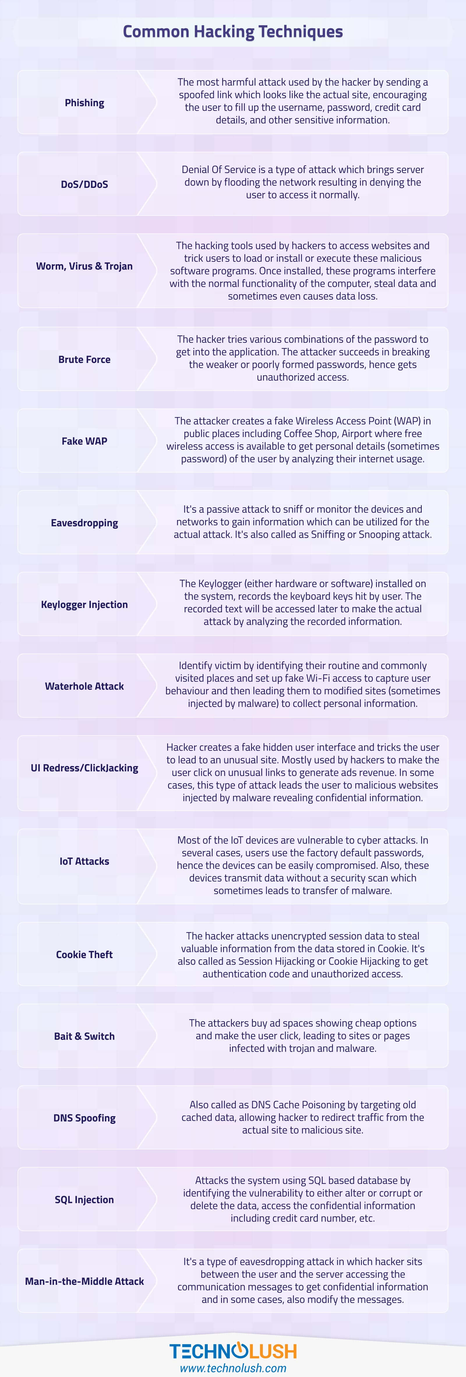 Common Hacking Techniques | TechnoLush